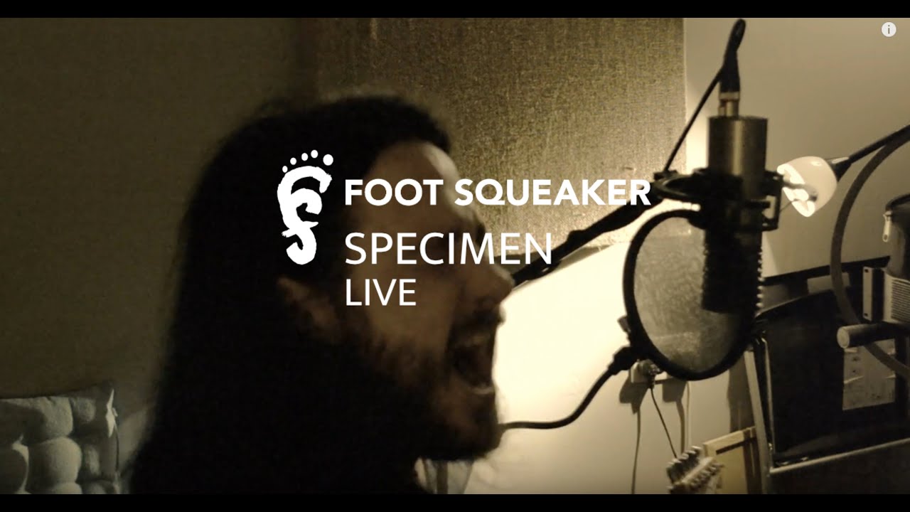 Foot Squeaker - Specimen - Live From Creagh Studios - YouTube