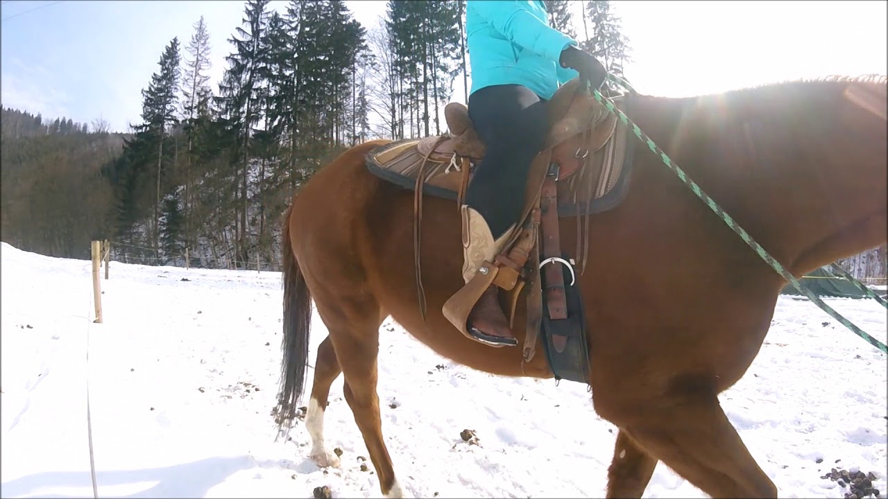 Gopro Horses 4.3.2018 - YouTube