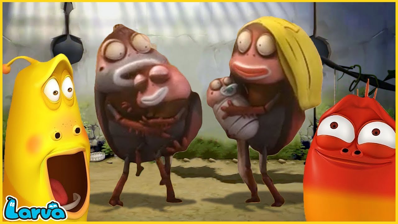 LARVA TUBA - GIA ĐÌNH TRONG MƠ - ẤU TRÙNG TINH NGHỊCH - PHIM HOẠT HÌNH ...