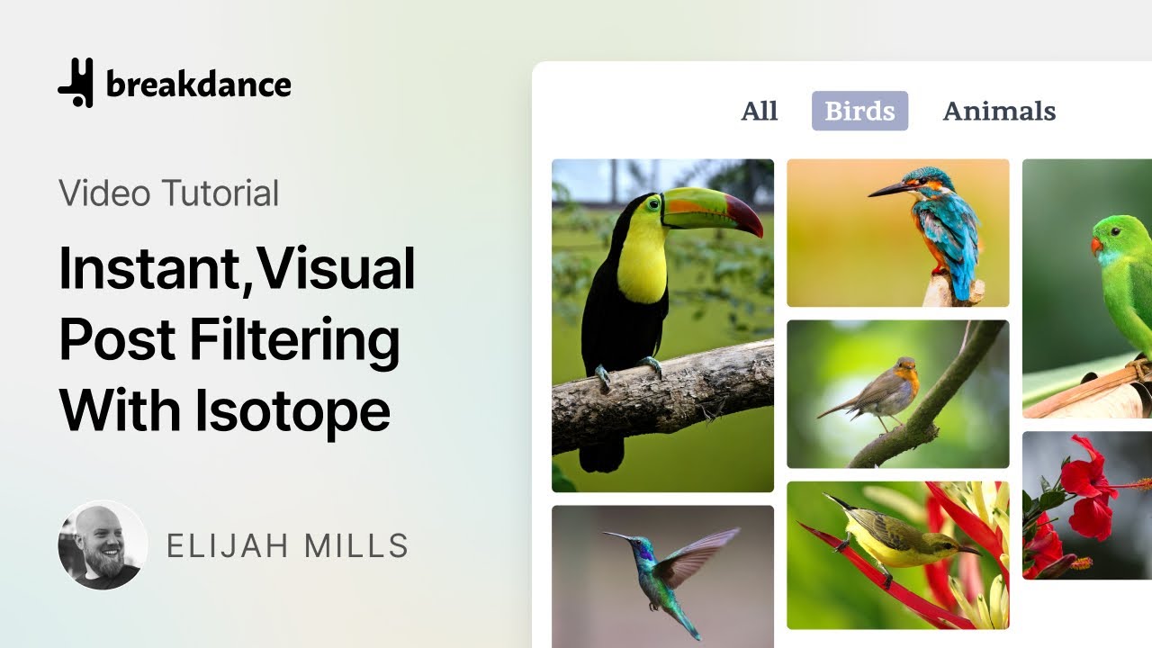 Instant, Visual Post Filtering In WordPress With Isotope & Breakdance ...
