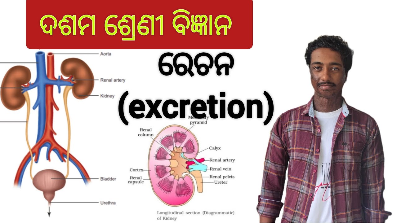 ରେଚନ(EXCRETION) || class 10 life science chapter-4 in odia || Rechana ...