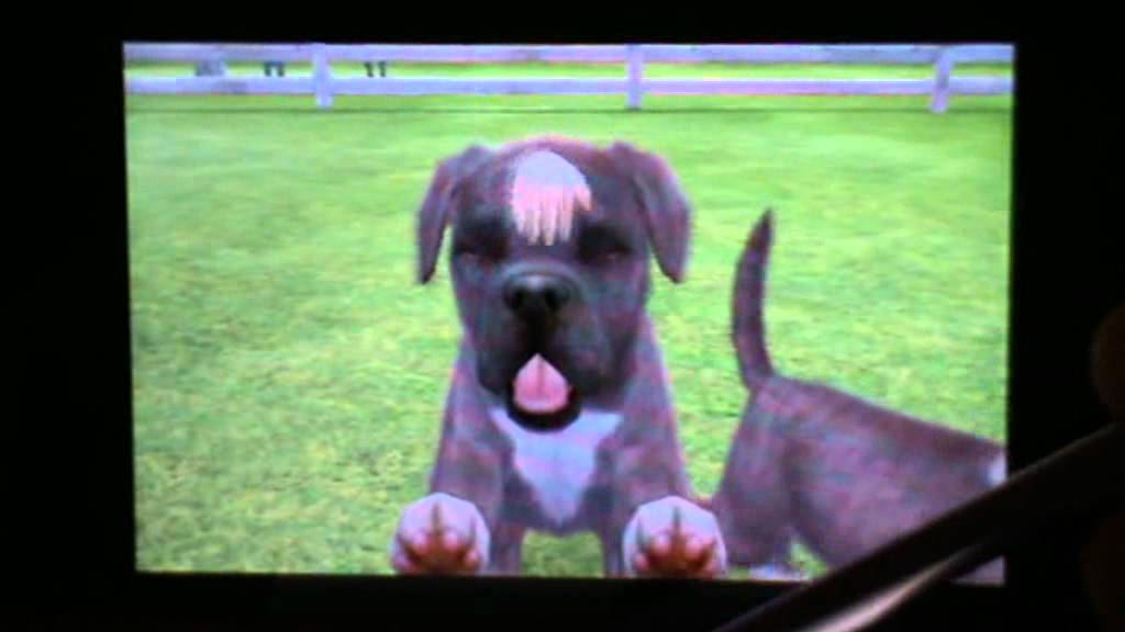 nintendogs + cats special race les boxer - YouTube