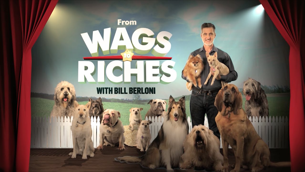 From Wags to Riches, Episode 2, "Bad Chico" - August 13, 9/8PM C - YouTube