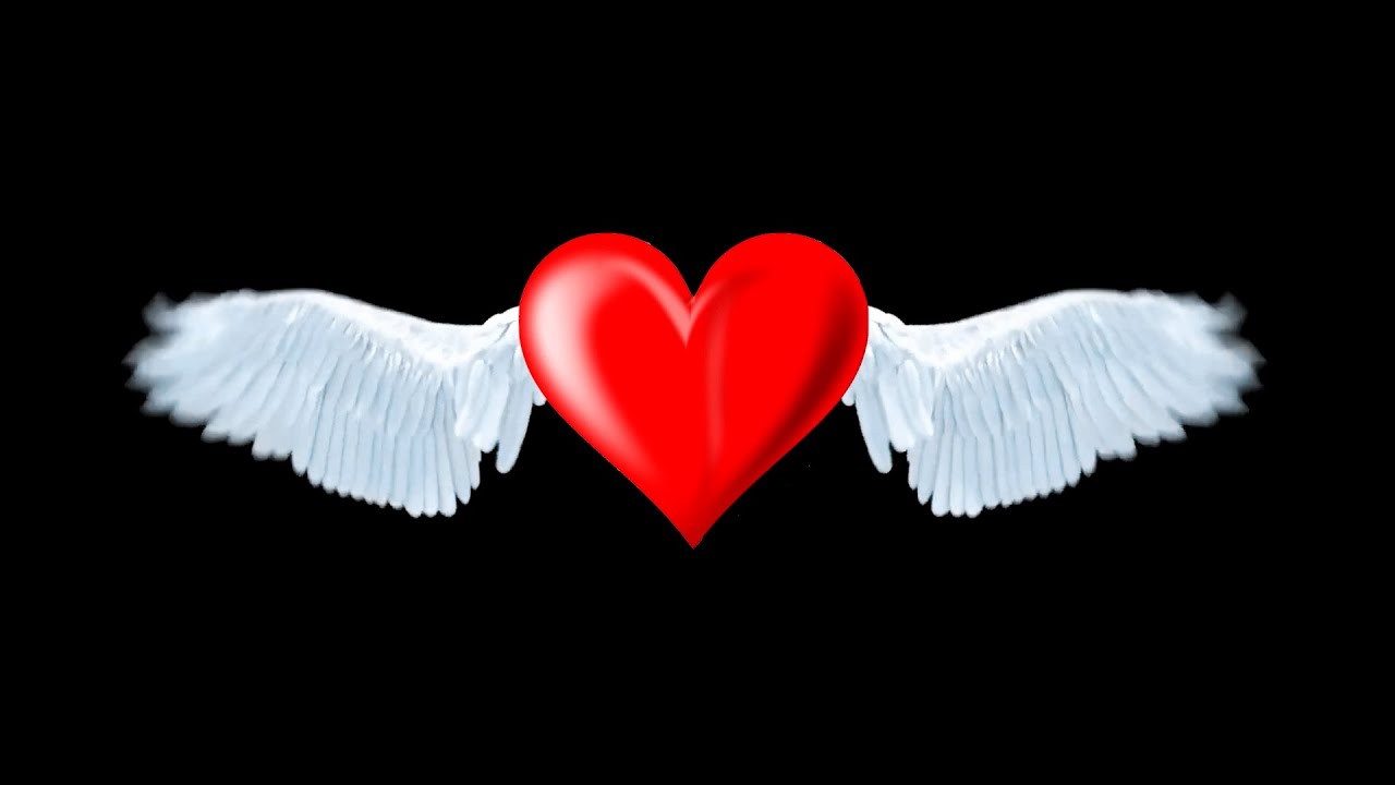 Angle Heart Flying Black screen, green screen - YouTube