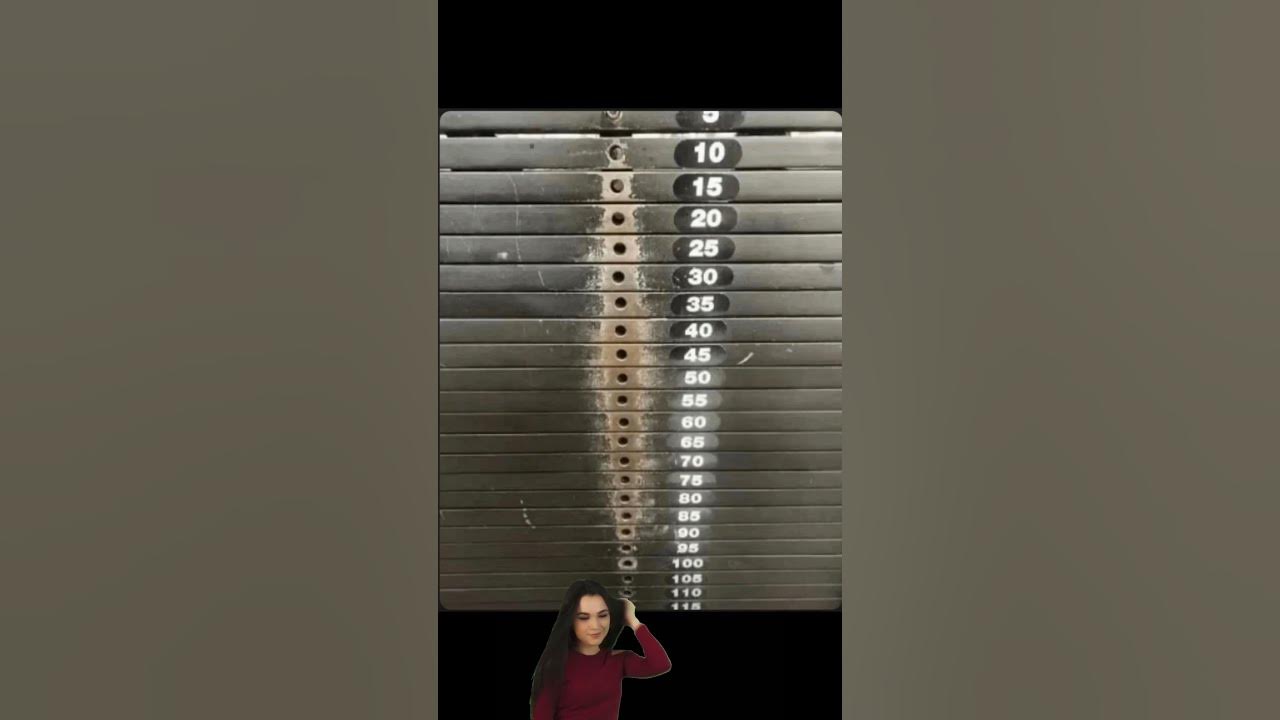 Programming A cool guide Normal Distribution is everywhere, Even at the ...