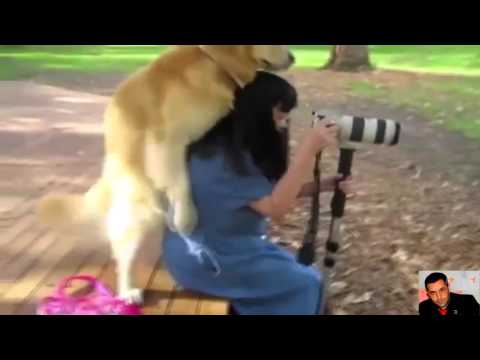 Komik Köpek Kadına Saldırdı