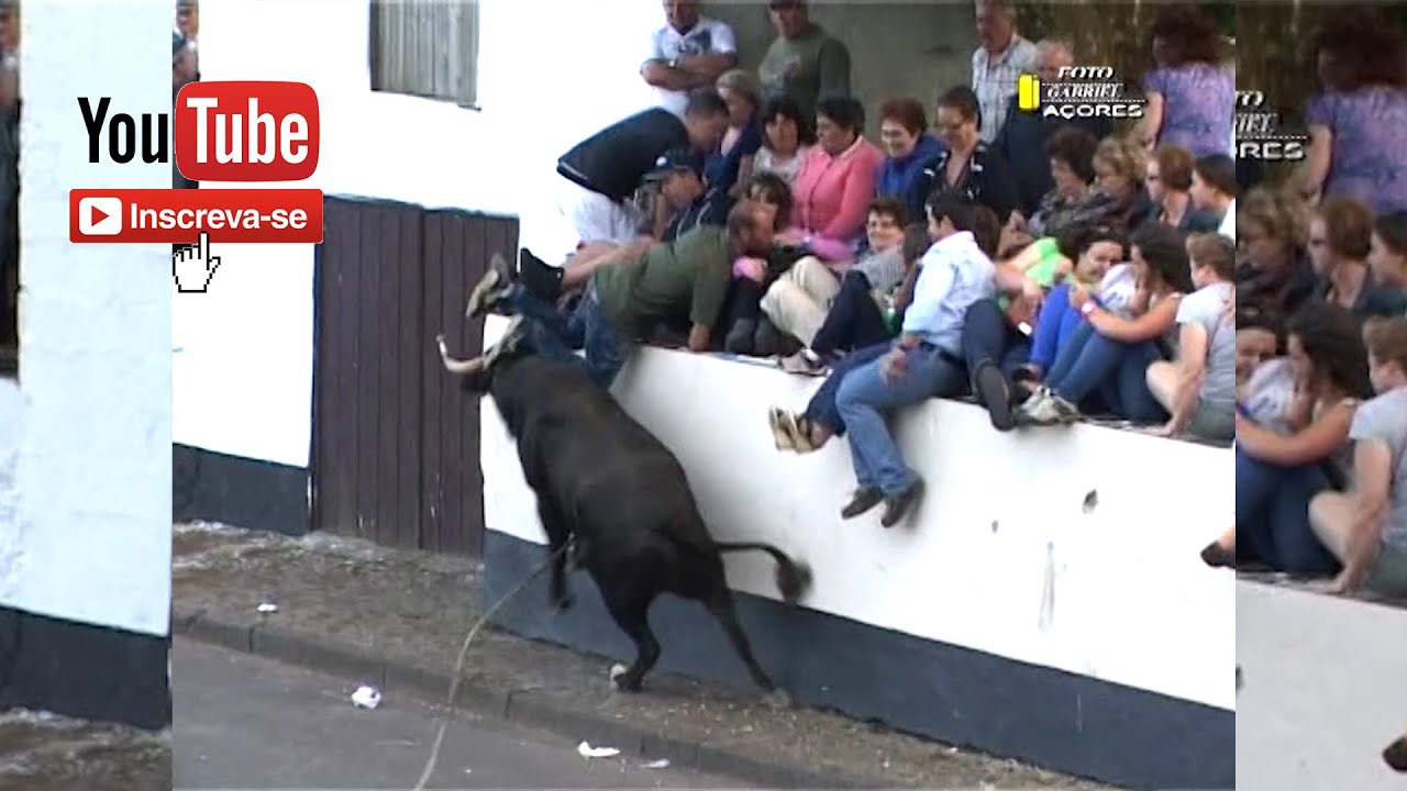 (Parte 22) Das Melhores Touradas à Corda 2012 da Ilha Terceira Açores ...