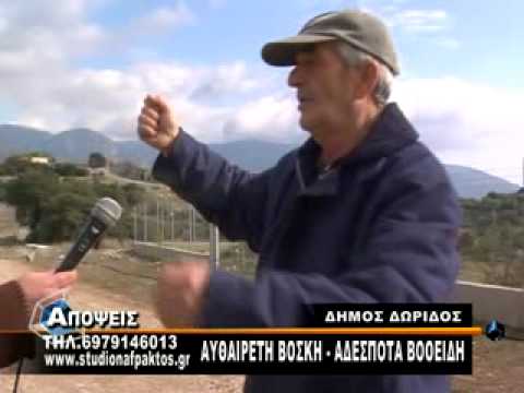 ΔΗΜΟΣ ΔΩΡΙΔΑΣ ΑΥΘΑΙΡΕΤΗ ΒΟΣΚΗ - YouTube