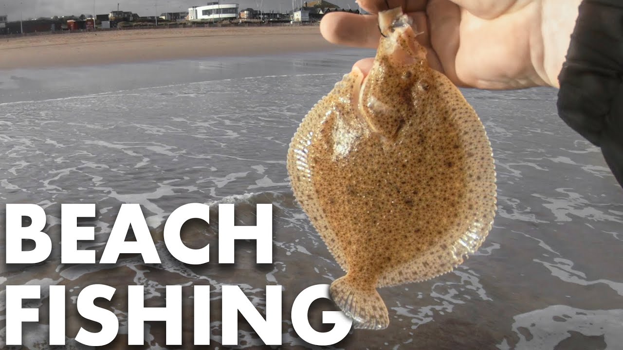 Beach Fishing for flatfish | Sea Fishing UK - YouTube