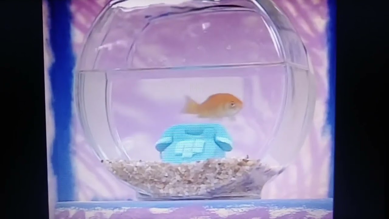 Elmo's World Dorothy's Telephones Question - YouTube