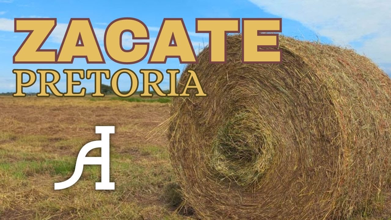Empacando zacate Pretoria - YouTube