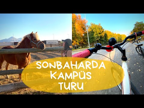 ATATÜRK ÜNİVERSİTESİ KAMPÜS TURU | sonbaharda kampüs, atlar, bisiklet turu ve daha fazlası 🍃🐎🚲