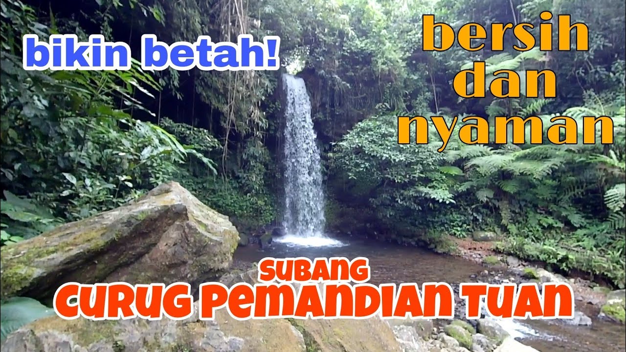 CURUG PEMANDIAN TUAN SUBANG • SUASANA CURUG PEMANDIAN TUAN • AIR TERJUN ...