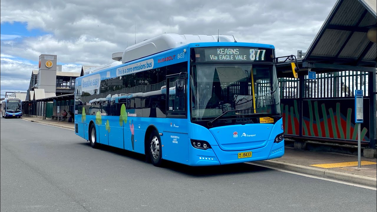 Busabout Sydney: m/o 8433 - BYD D9RA Gemilang Eco City Bus - YouTube