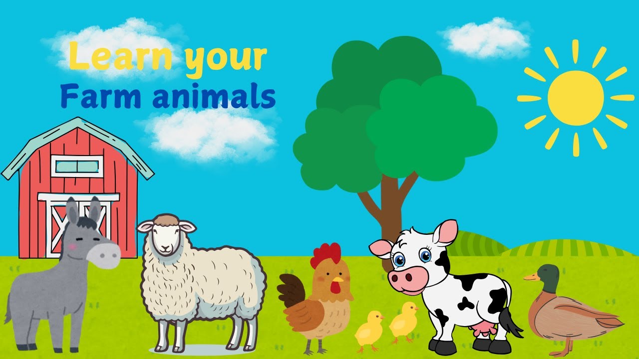 Learn your farm animals/sheep, donkey, chickens, cow, duck/ educational ...
