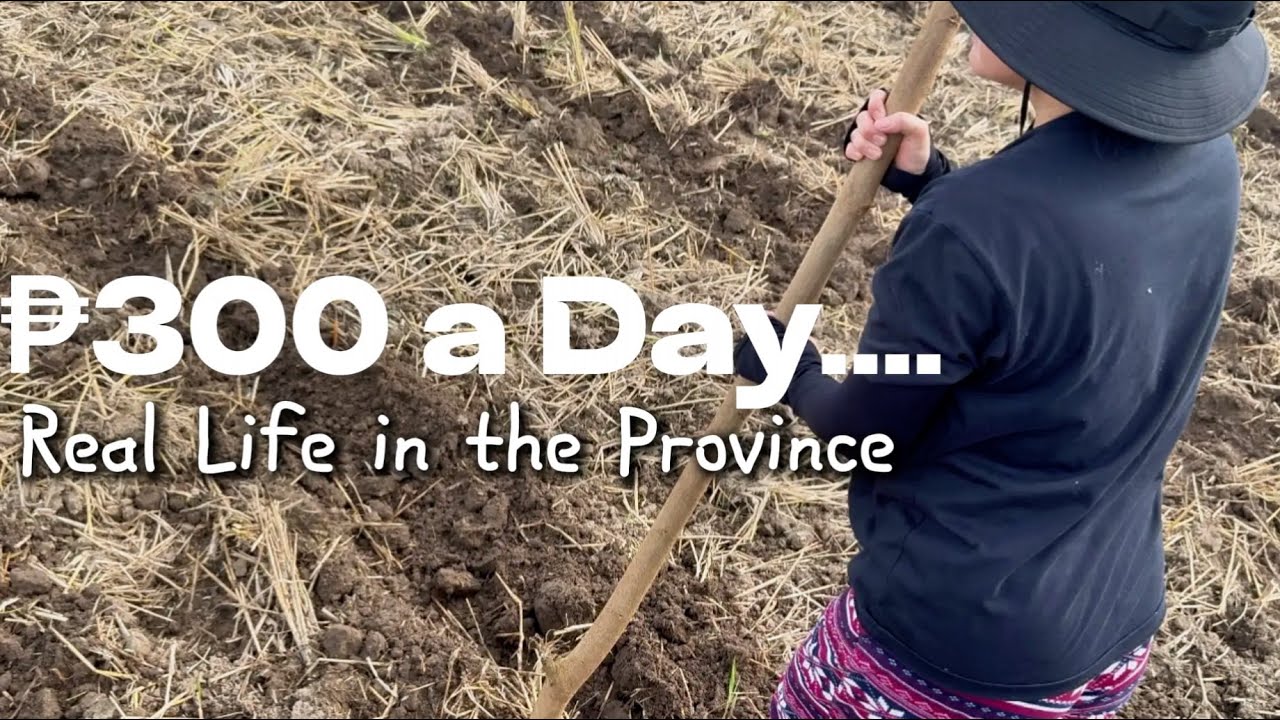 Real Life:Unfiltered Days | Low Daily Pay Of Farm Laborers—₱300, Tire ...