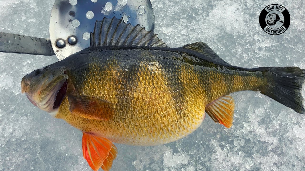 Lake Cascade Ice Fishing Tackle and Gear Winner - YouTube