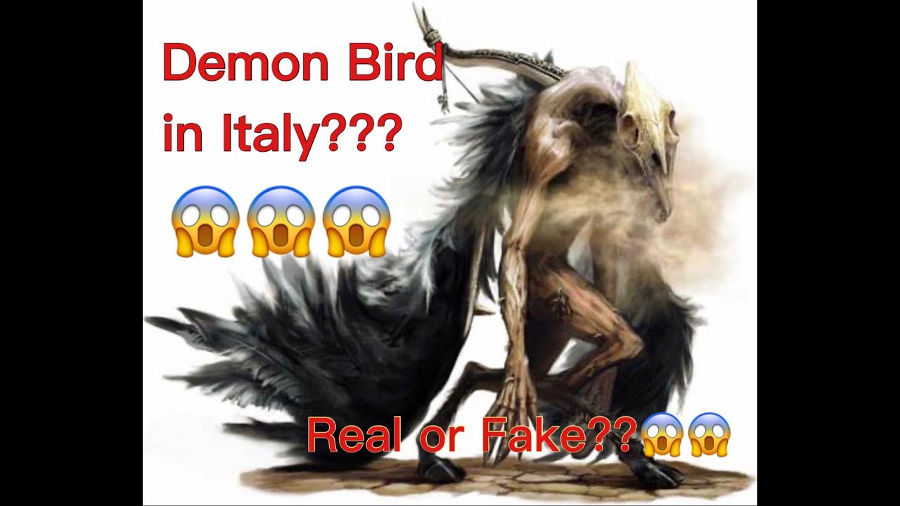 Demon Bat or Demon bird spotted in Italy.. - YouTube