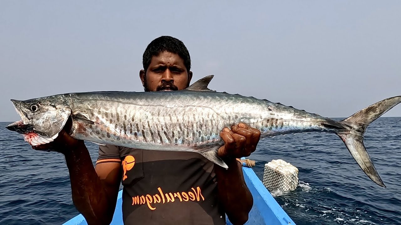 Catching King Fish & Longface Emperor Fish in the Sea - YouTube