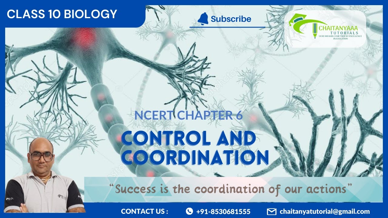 CBSE SCIENCE 10TH BIOLOGY CONTROL & COORDINATION HUMAN NERVOUS SYSTEM ...