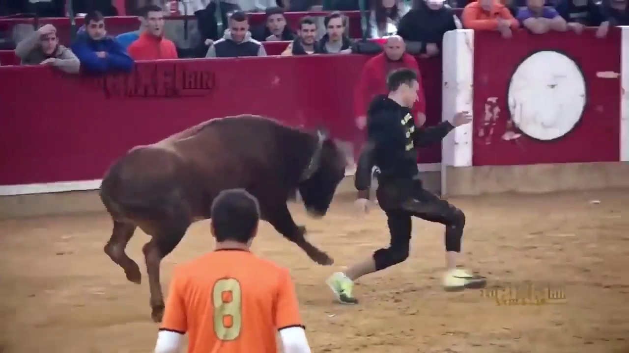 Bull Fight - YouTube