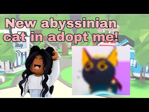 New abyssinian cat in adopt me! (Roblox) - YouTube