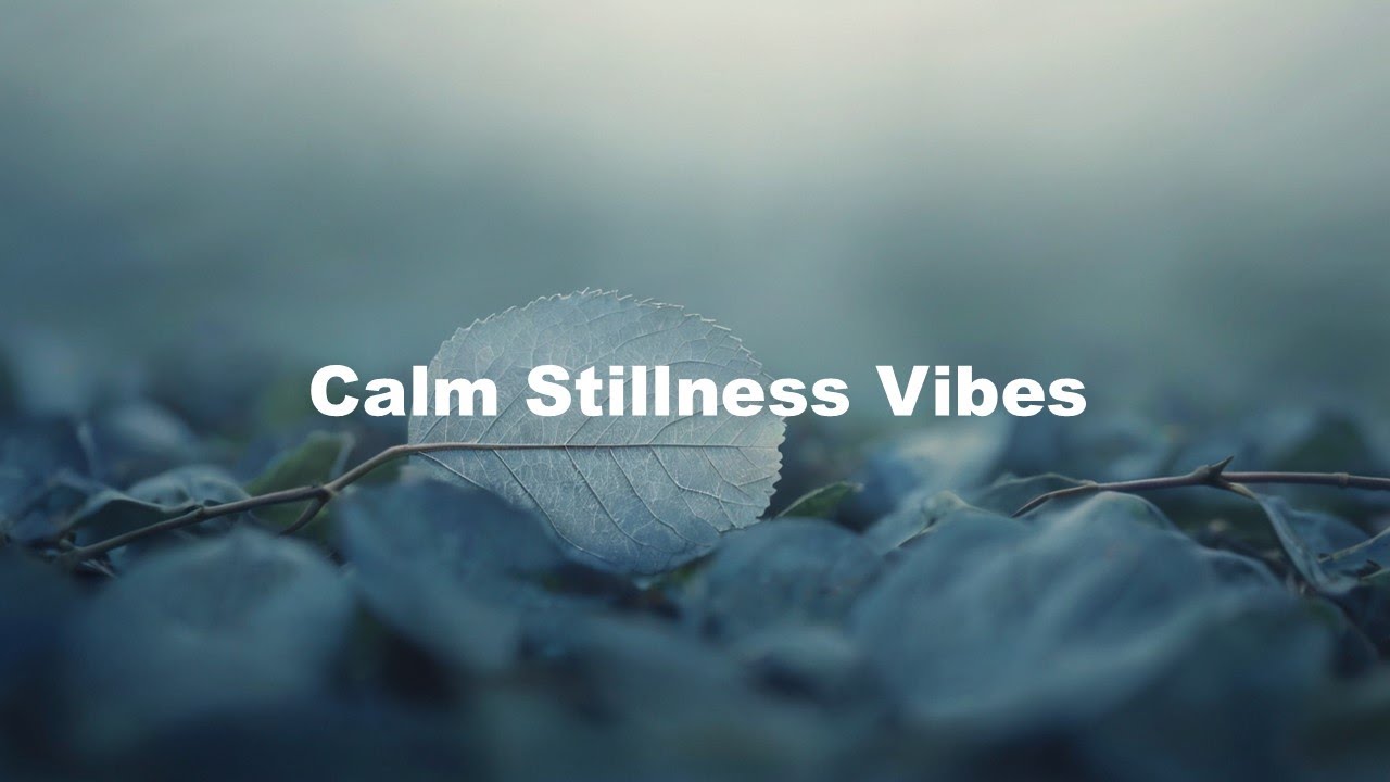 BGM 】集中 読書 勉強 瞑想 心が穏やかになる | Calm Stillness Vibes - YouTube