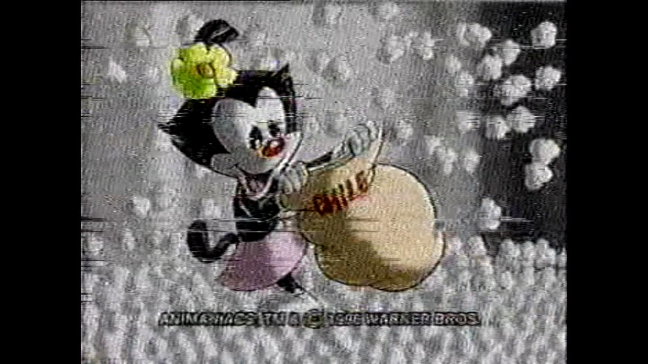 Comercial Poffets chile y limón con Animaniacs 90's - YouTube