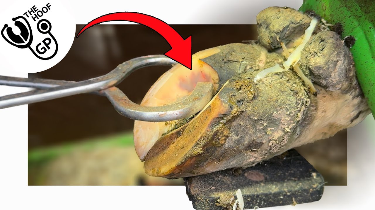 this is WORSE THAN IT LOOKS!!!! - YouTube