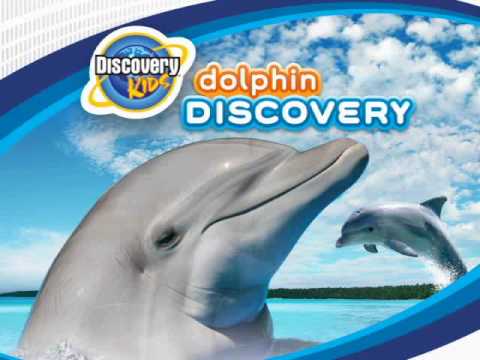 Discovery Kids: Dolphin Discovery (trailer) - Nintendo DS - YouTube