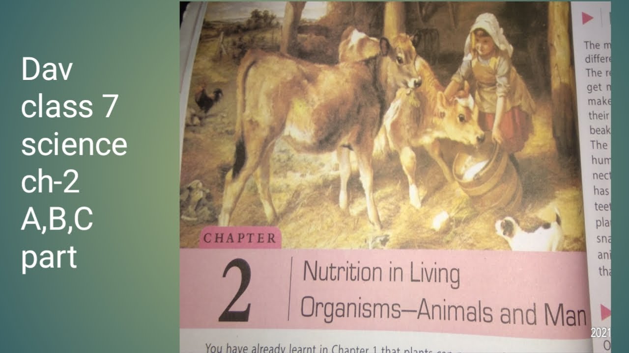 Dav class 7 science ch-2 ABC part - YouTube