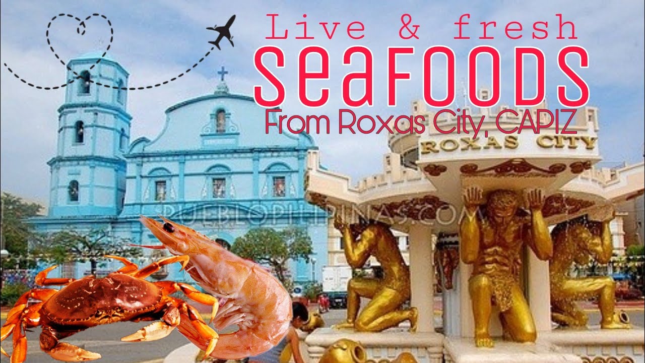 Fresh Seafoods from Roxas City Capiz | Live Alimango & Sugpo (tiger ...