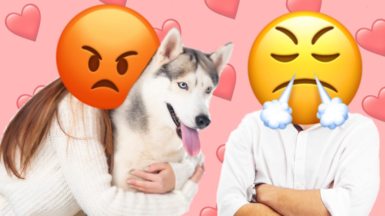 Te metes con mi perro, te metes conmigo | Historias de Texto - YouTube