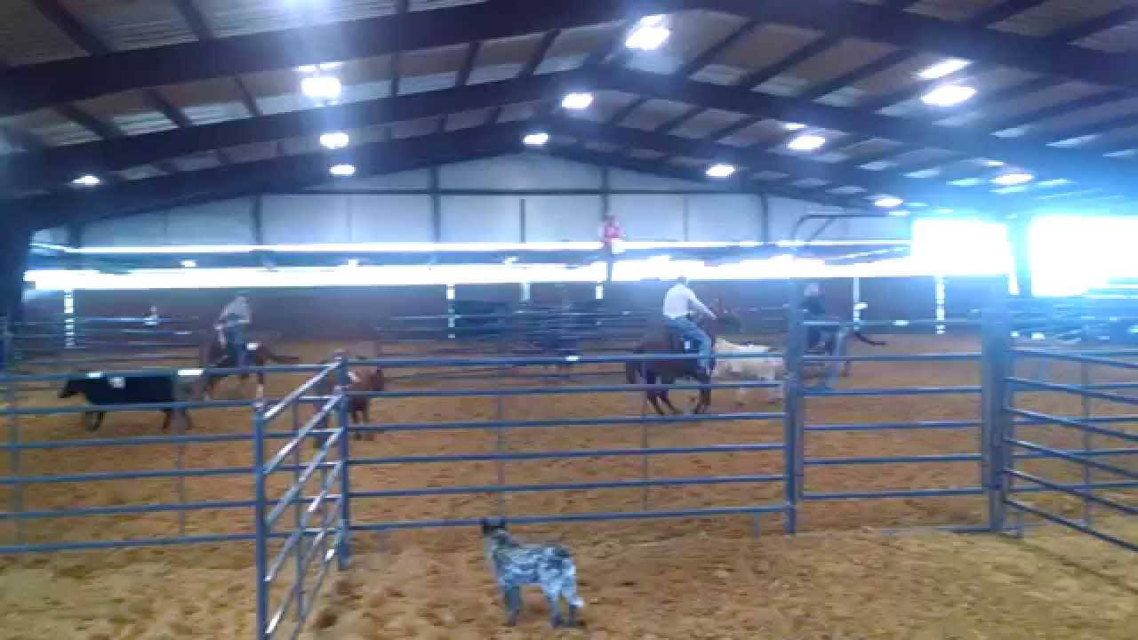 Katie, Whitney and Terry - 3 Man 2 Gate Sorting - YouTube