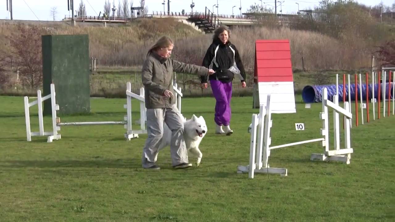 Agility 21-11-2009-alle part1.mp4 - YouTube