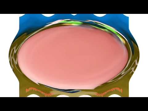 (REQUESTED) The Gummy bear Song Long English Version In G Major 368 ...
