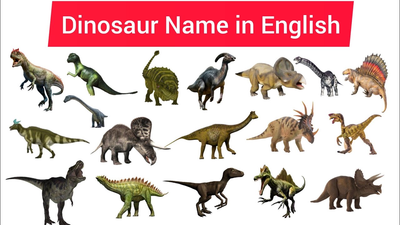 All Dinosaur Names and Pictures l Dinosaur Names and Pictures l ...