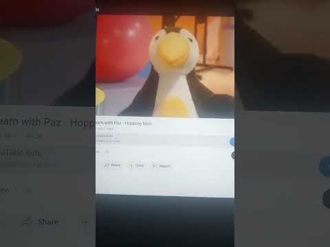 Ready Set Learn Paz's Reflection 🪞 - YouTube