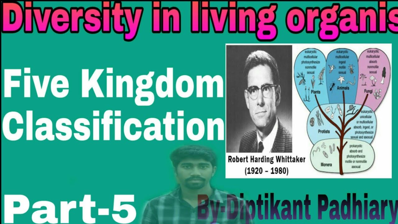 Description of different kingdoms of 5 kingdom Classification /Part-5 ...