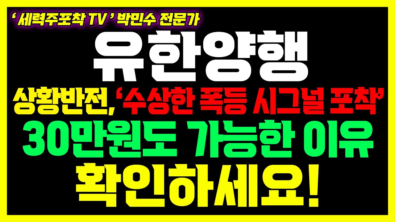 유한양행 초거대세력 8월 추가 매집 플랜 공개 충격적 매수 이유 공개유한양행 Fda 렉라자 오스코텍 비소세포폐암