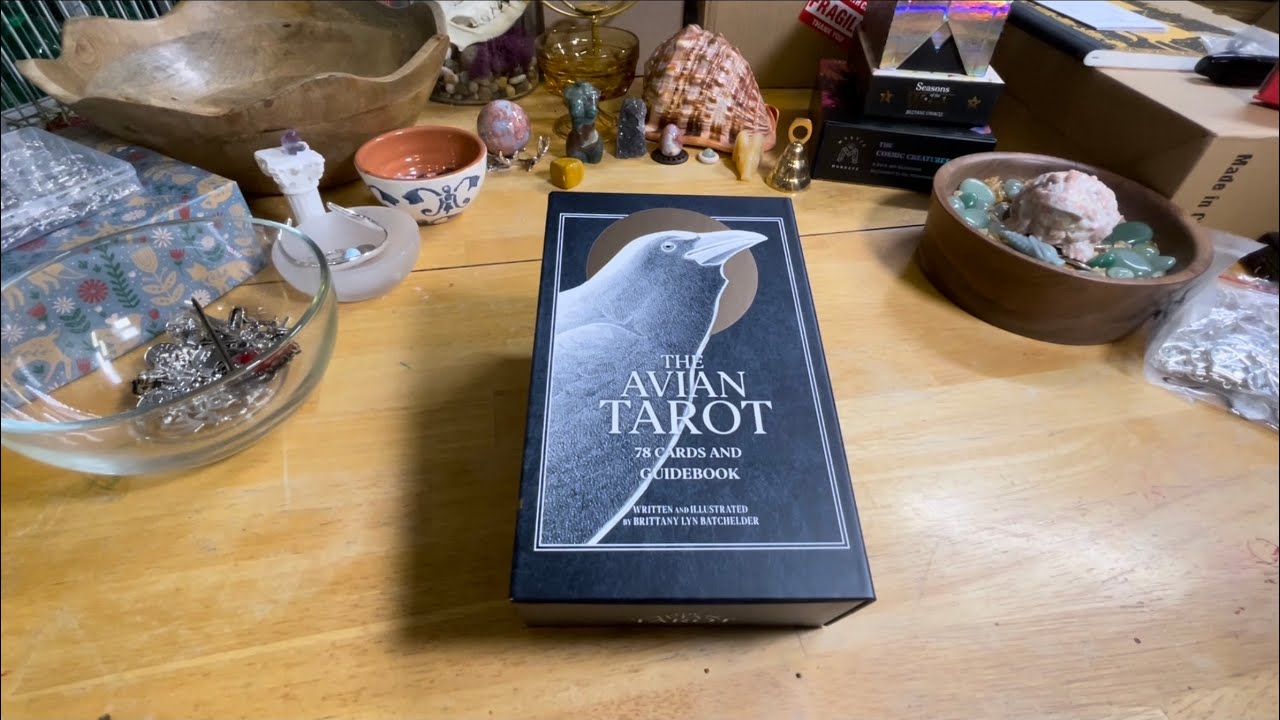 The Avian Tarot | Unboxing & Preview - YouTube