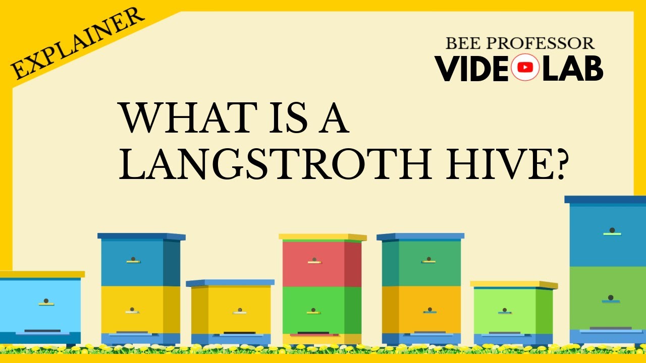 What Is A Langstroth Hive? Quick Guide For Beekeepers - YouTube