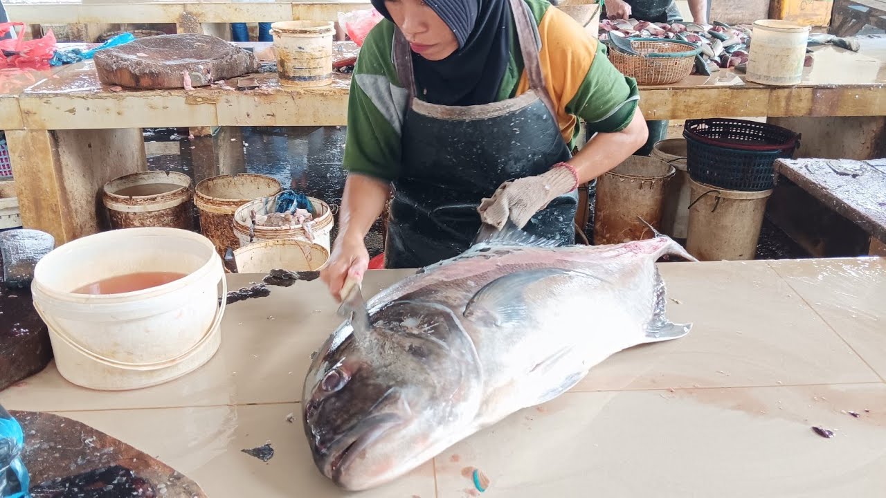 IKAN BUBARA.!! - YouTube