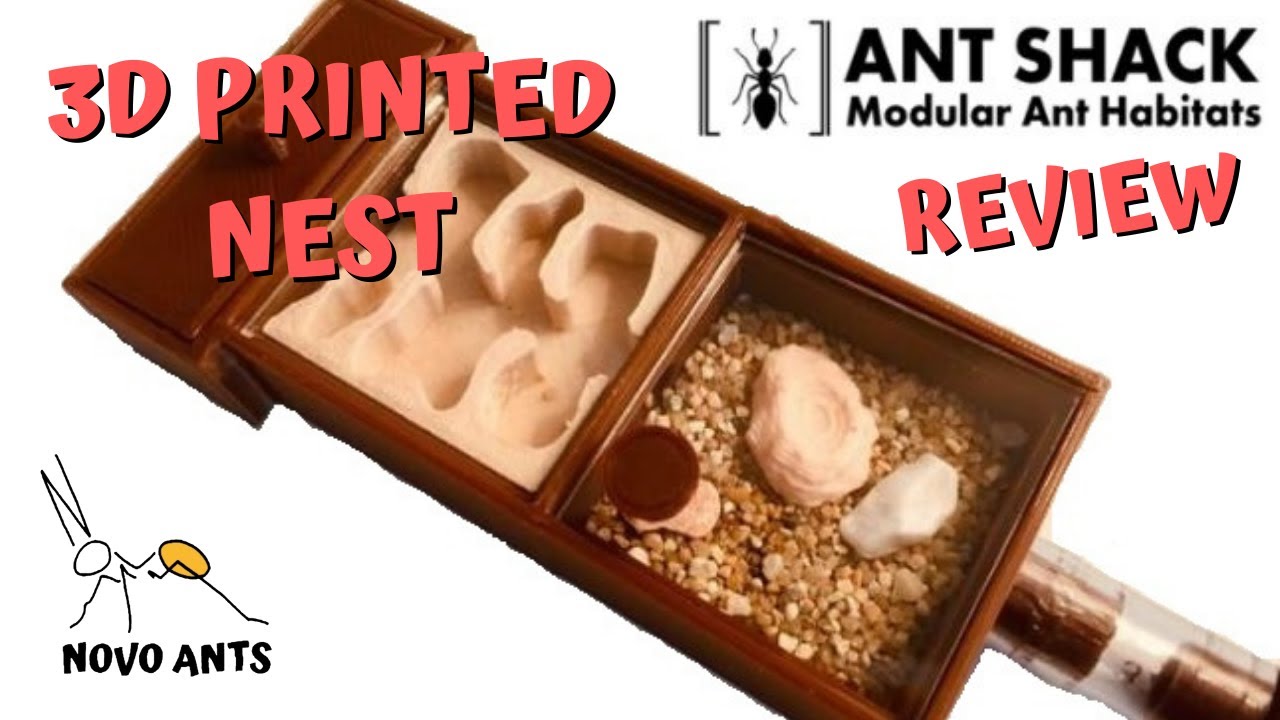 Formica Ant Farm Kit 3D Printed Nest - Unboxing & Review - Ant Shack - Novo Ants - YouTube