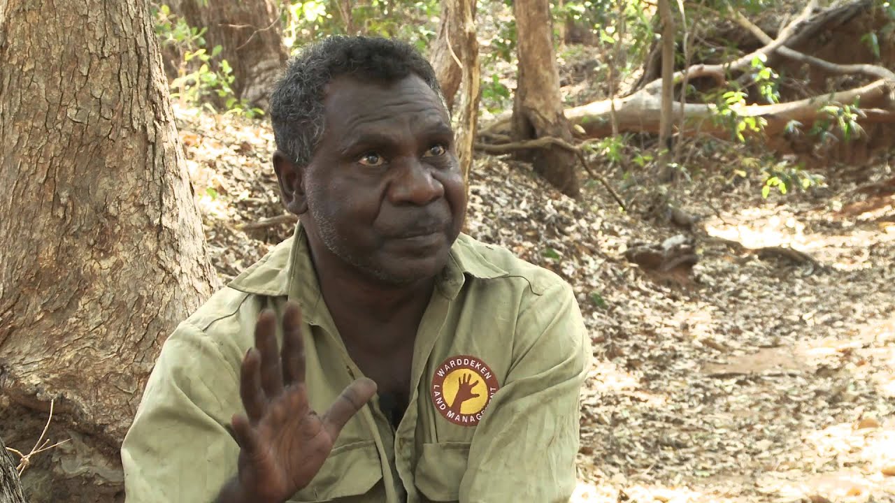Indigenous rangers, scientists and Bush Heritage working together to ...