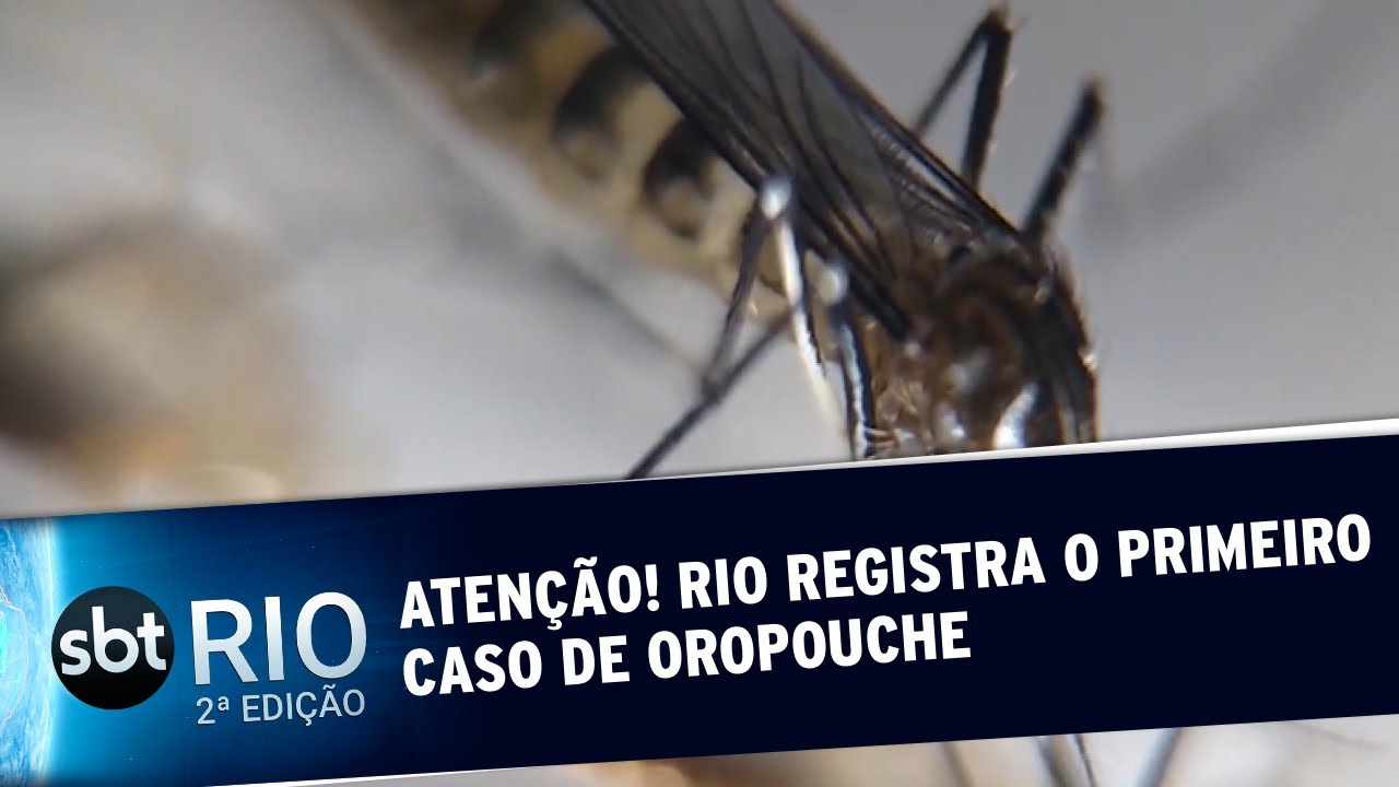 Rio registra o primeiro caso de Oropouche - YouTube
