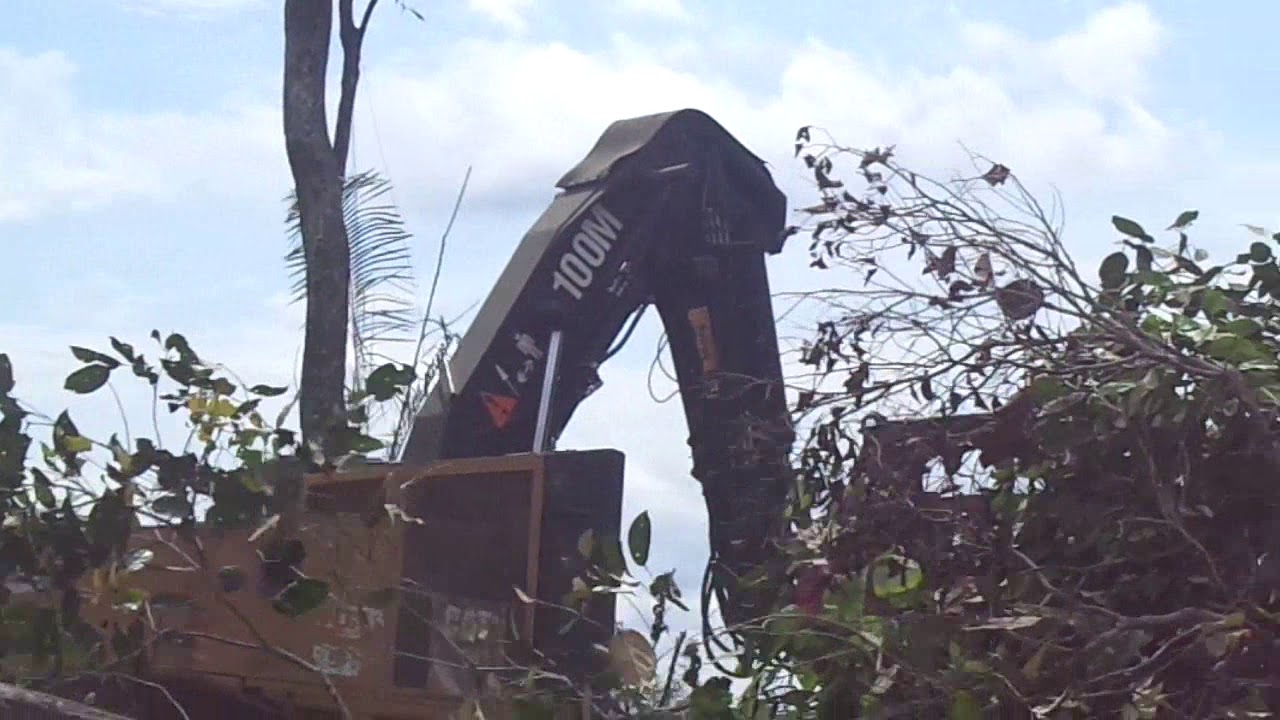 Feller Cat 541- operação nativa - YouTube