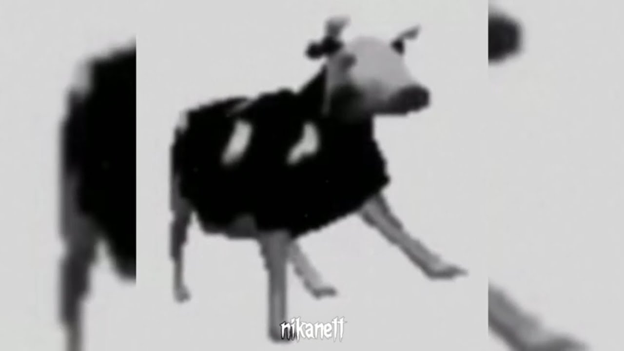 polish cow - cypis [ speed up ]♡~ - YouTube
