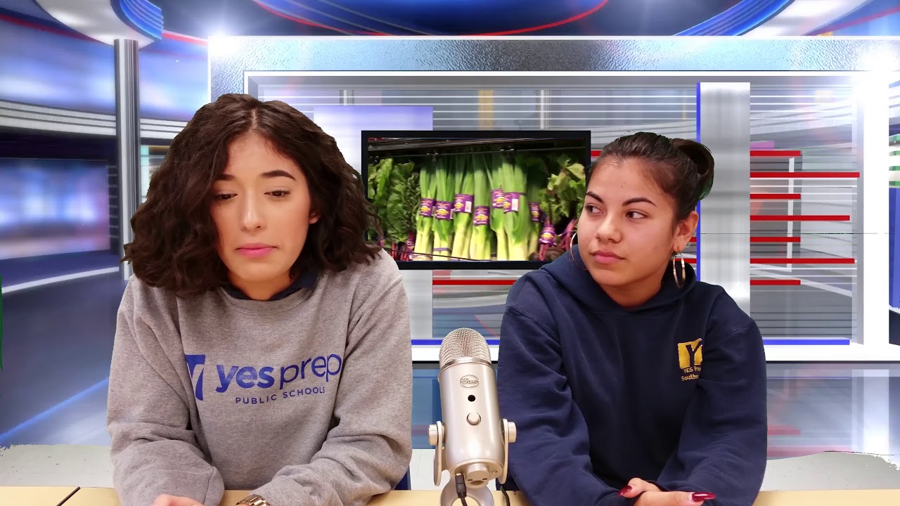 YES Prep Southeast - SEtv News | Wed November 8th - Evelynn & Madison ...