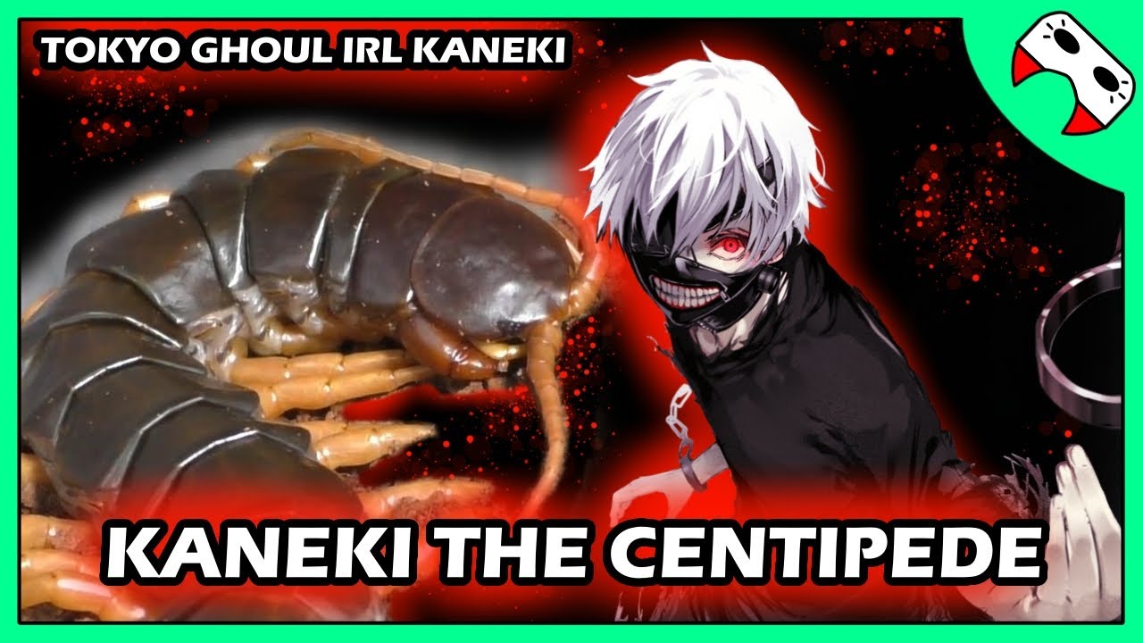Kaneki The Giant Centipede - Tokyo Ghoul - YouTube